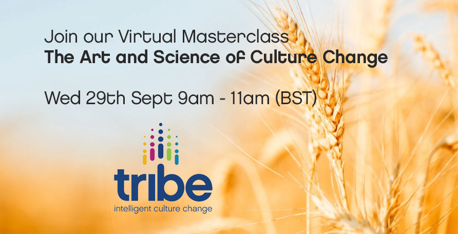 Home - Tribe Culture Change